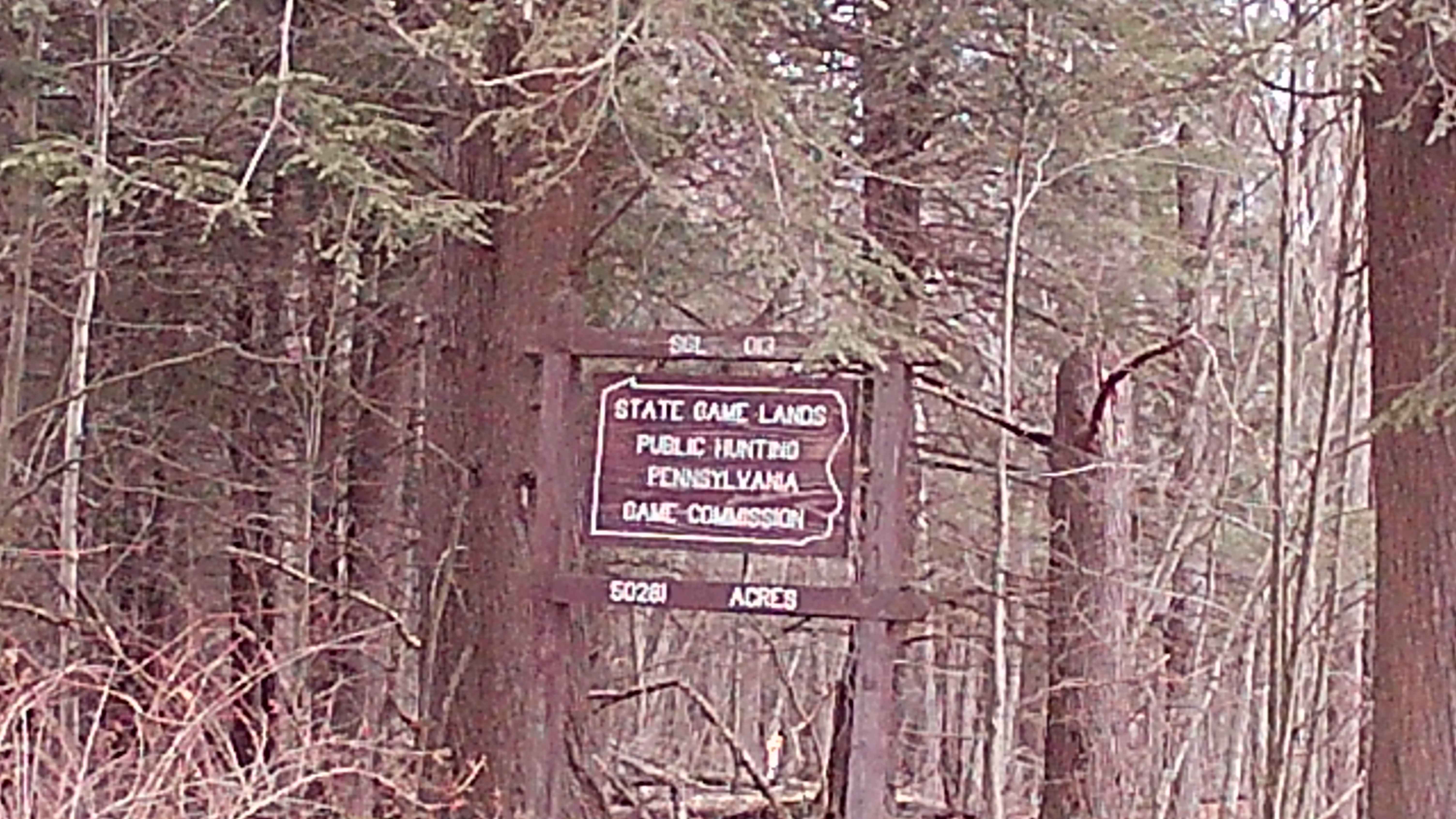 Masonite Road, Pennsylvania - GPS Trail Map, Conditions & Difficulty ...