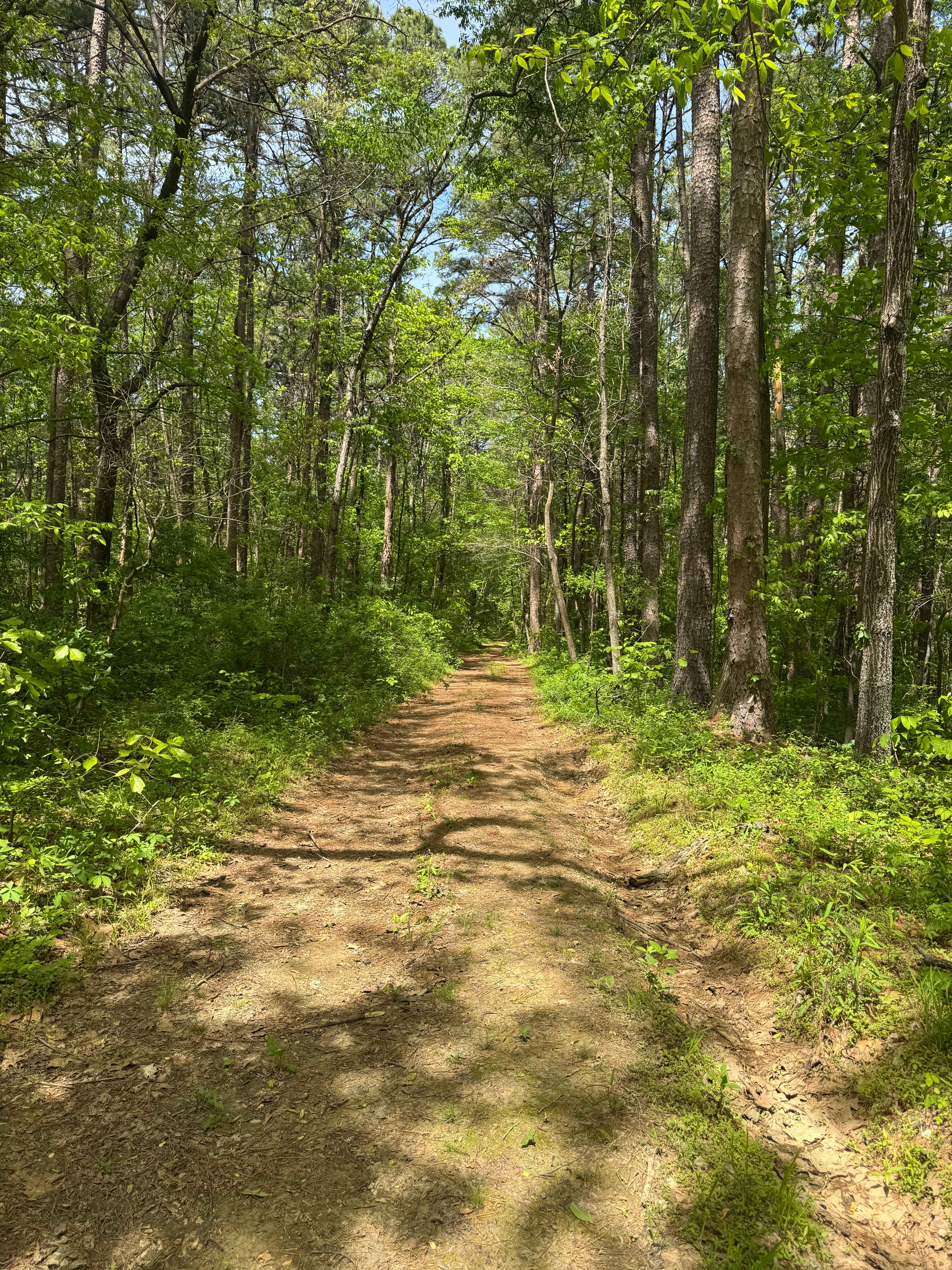 Goose Ridge Trail, Illinois - GPS Trail Map, Conditions & Difficulty ...