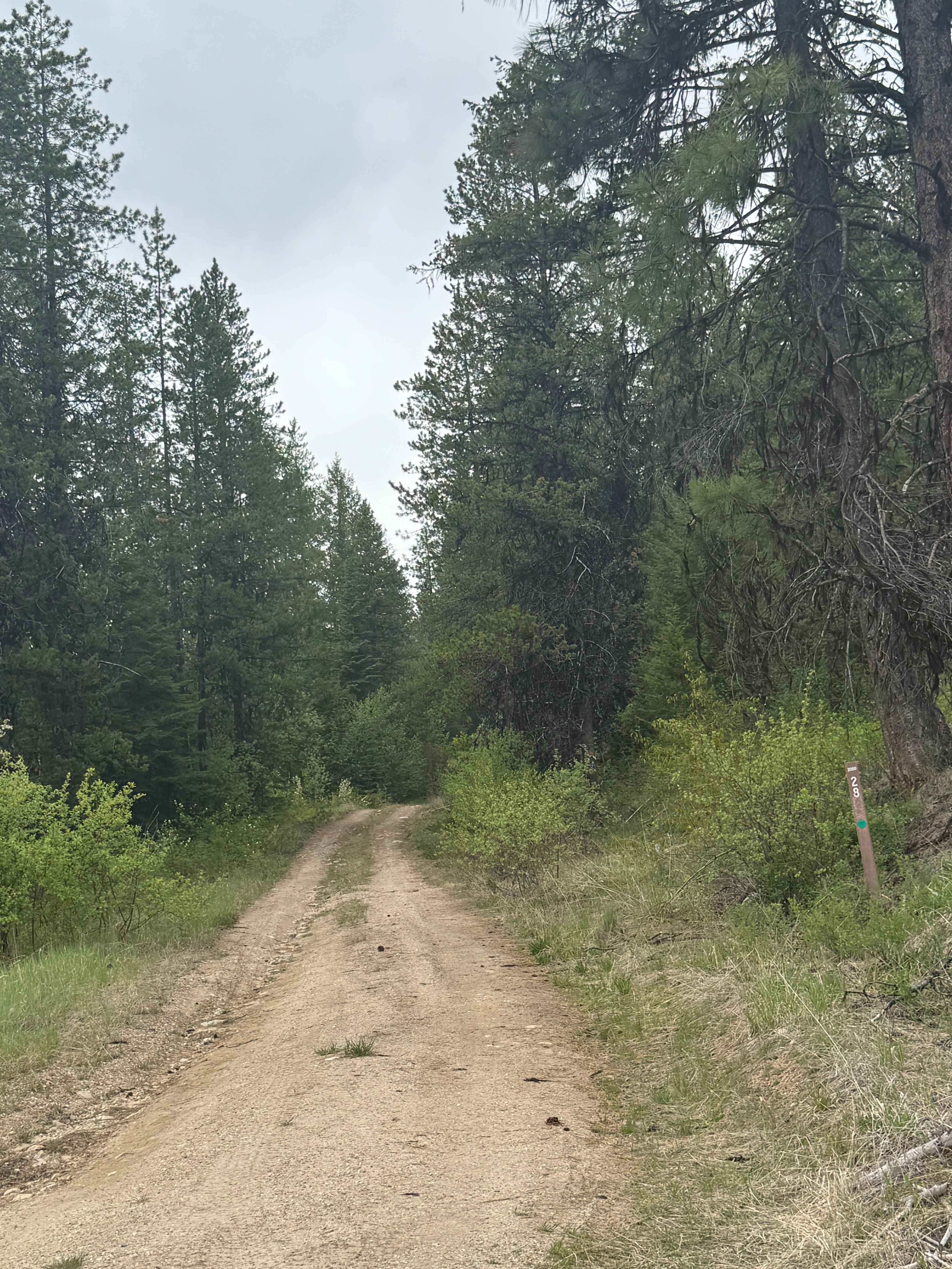 Upper Lane Creek - FS 2000-280, Washington - GPS Trail Map, Conditions ...