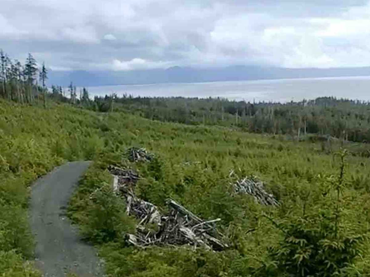 Side Bay Main Part 2 | Off-Road Trail Maps, Difficulty, Trail Status ...