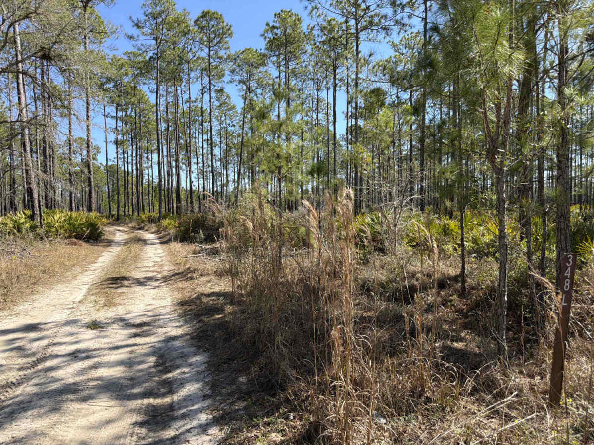 Posey Branch - FS 348-A | Off-Road Trail Maps, Difficulty, Trail Status ...
