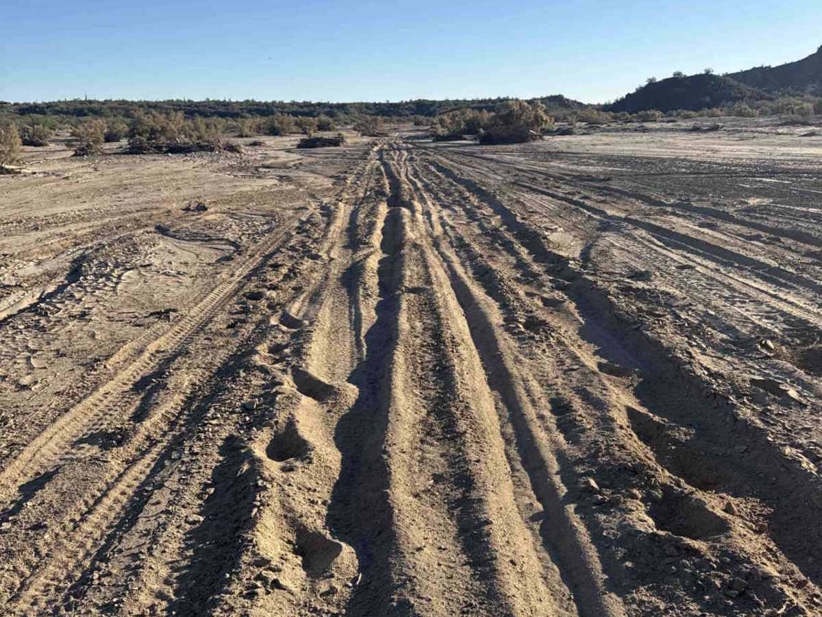 Running Wild | Off-Road Trail Maps, Difficulty, Trail Status | onX Offroad
