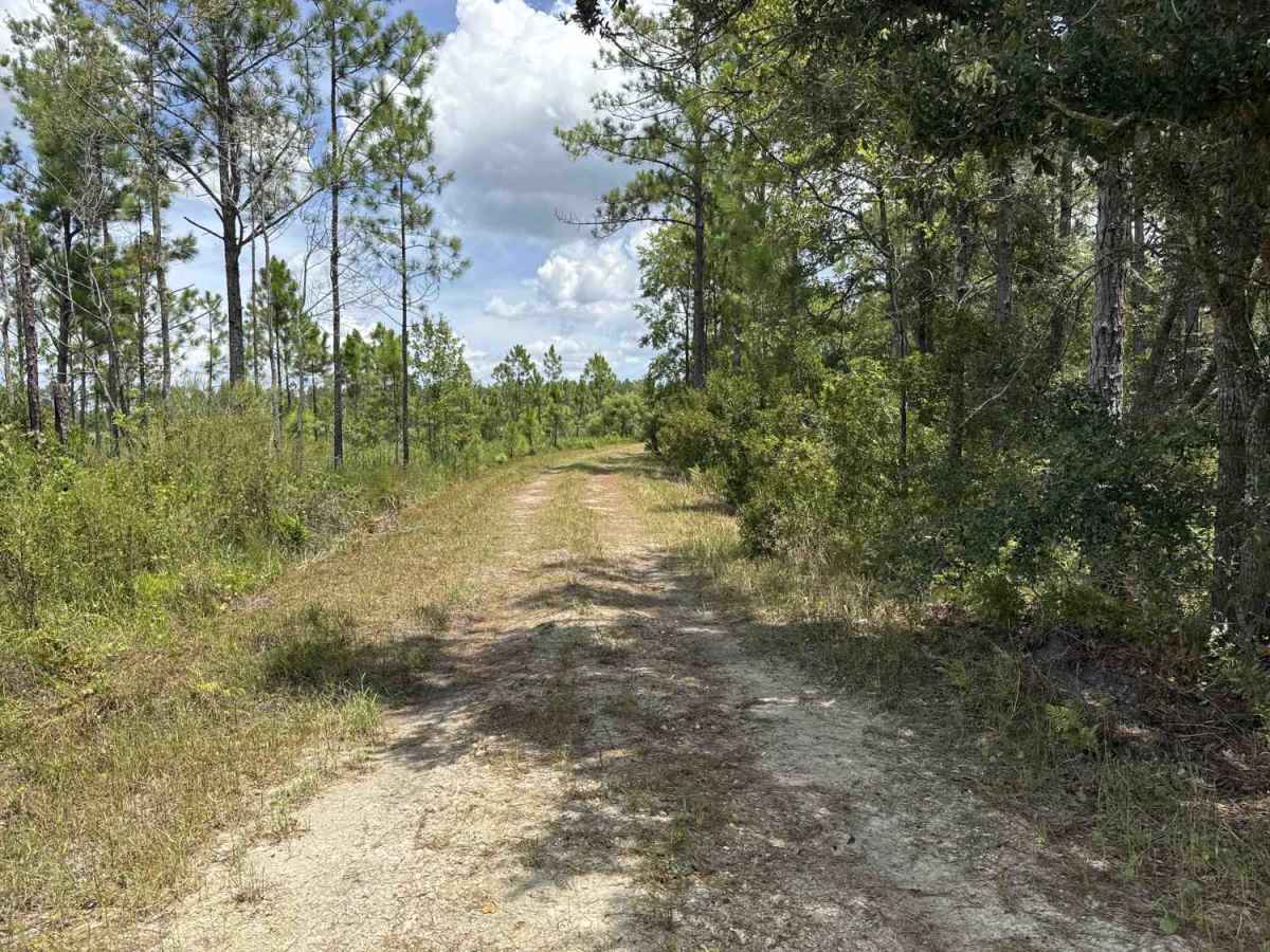 Bear Island Road | Off-Road Trail Maps, Difficulty, Trail Status | onX ...