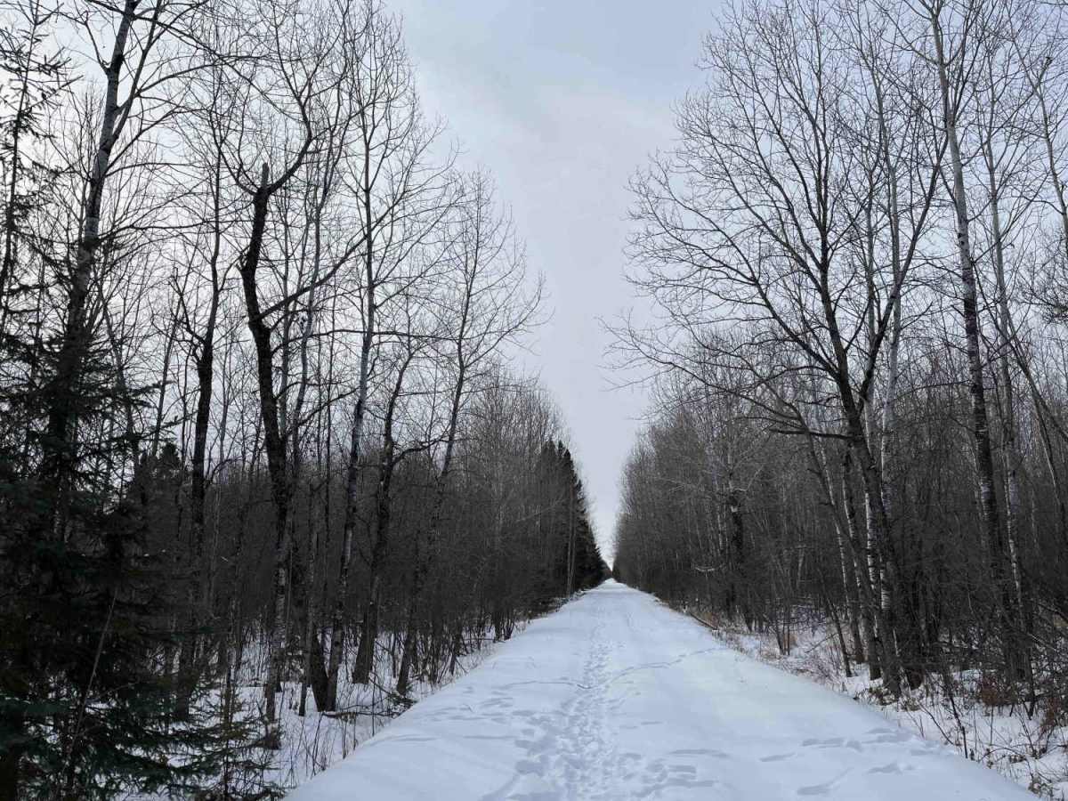 Hogsback-O'Brien Forest Road | Off-Road Trail Maps, Difficulty, Trail ...