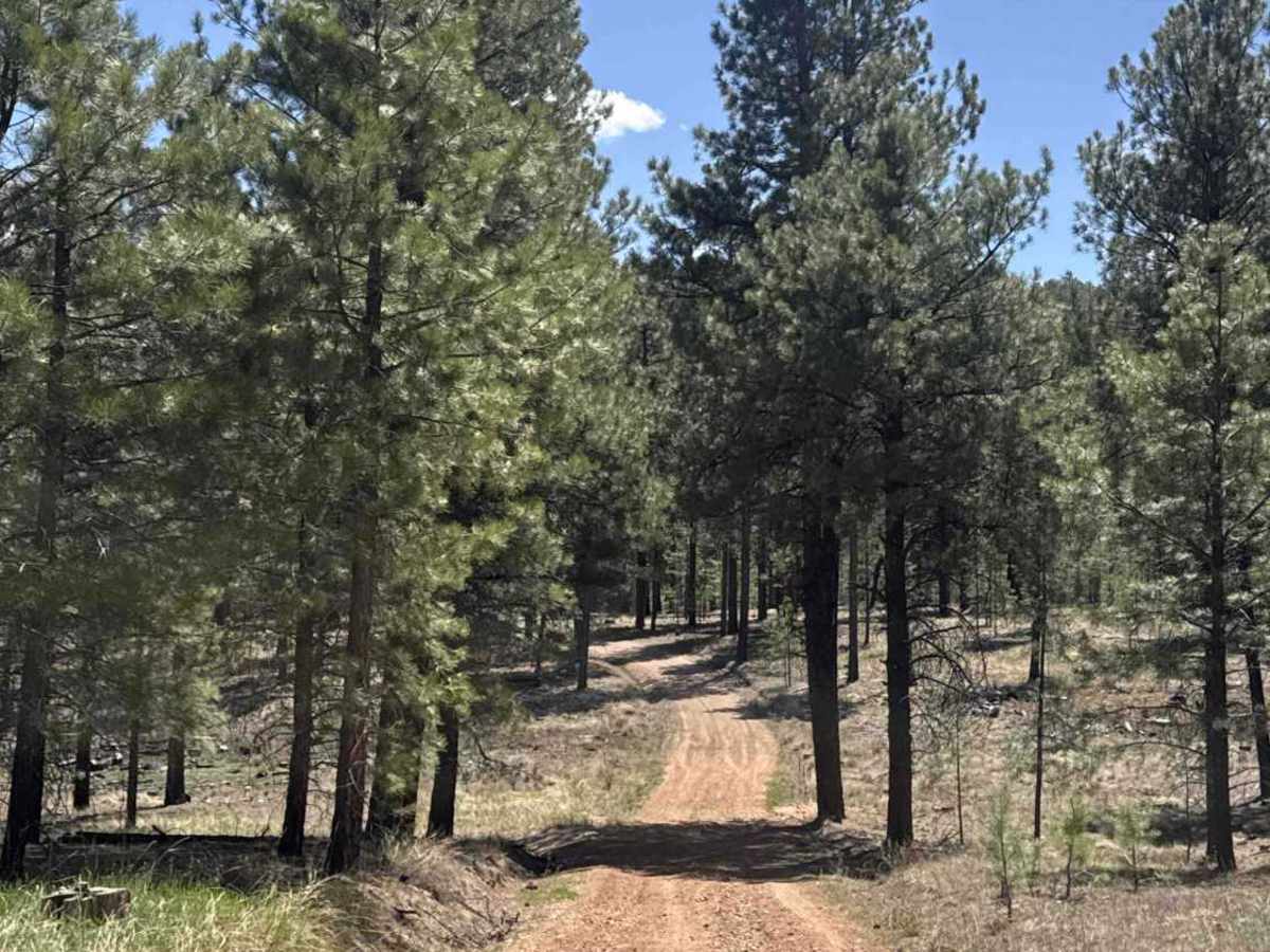 FS 634 | Off-Road Trail Maps, Difficulty, Trail Status | onX Offroad