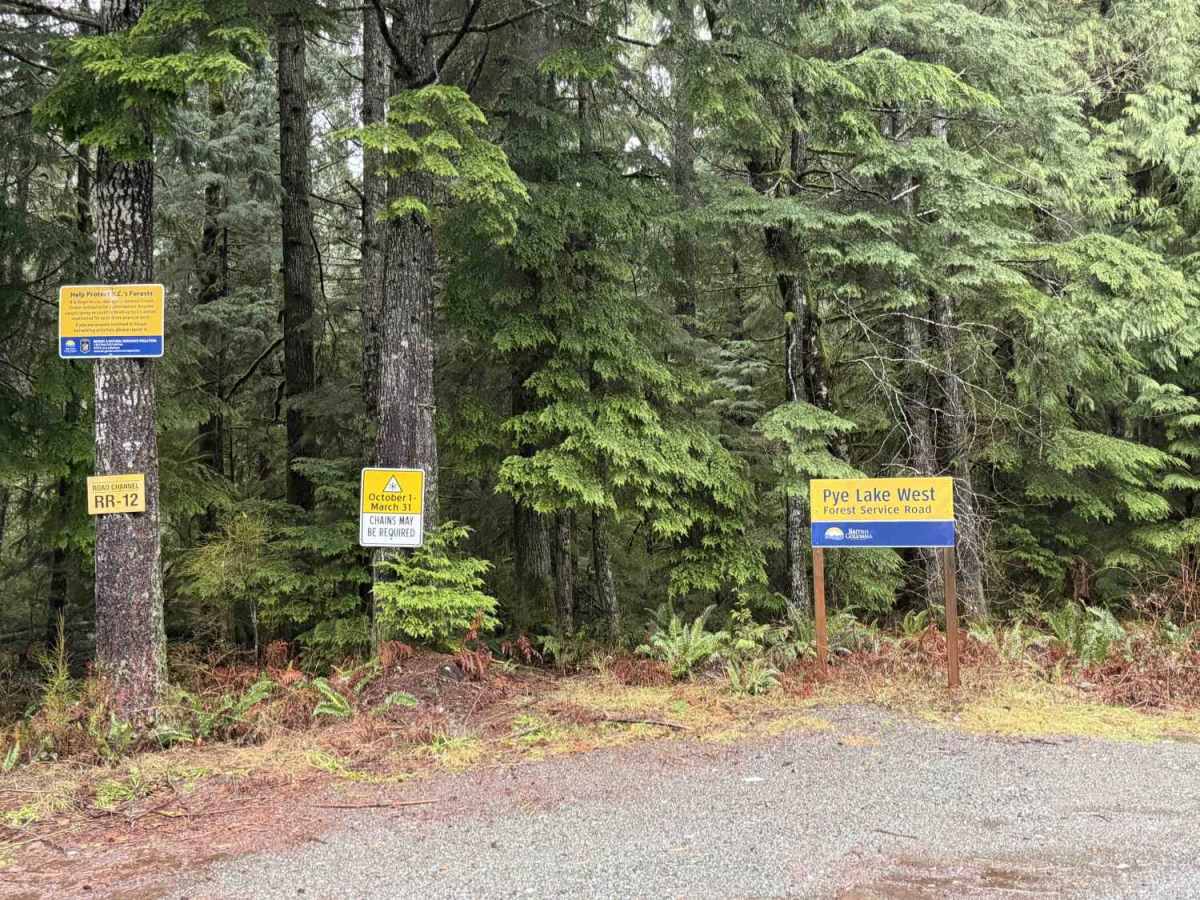Pye Beach Recreation Site | Off-Road Trail Maps, Difficulty, Trail ...