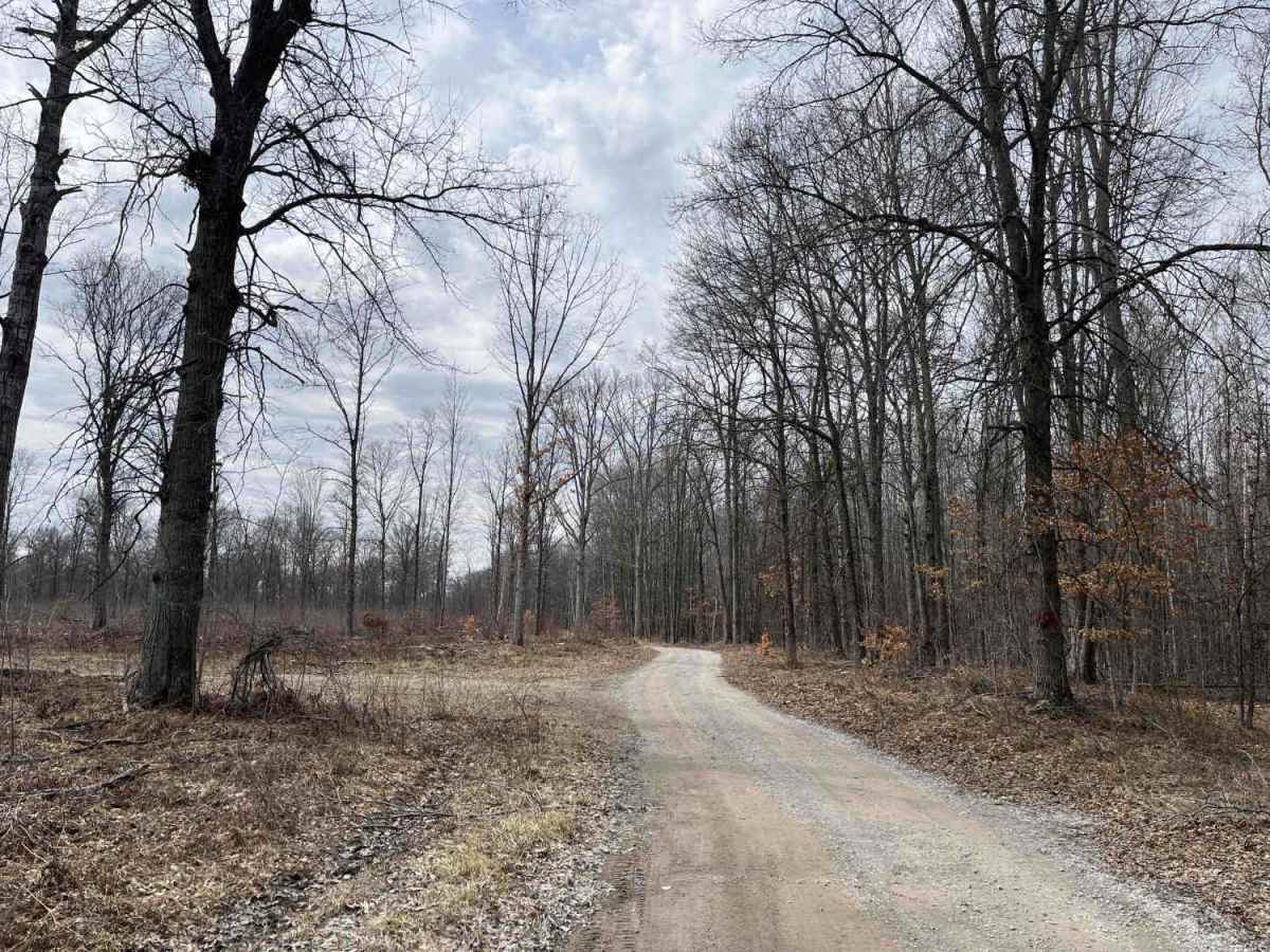 West Isabella Bypass | Off-Road Trail Maps, Difficulty, Trail Status ...
