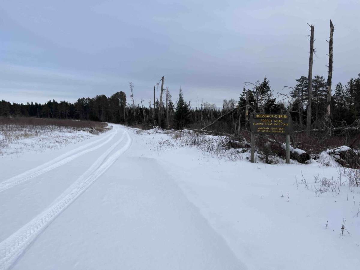 Hogsback-O'Brien Forest Road | Off-Road Trail Maps, Difficulty, Trail ...