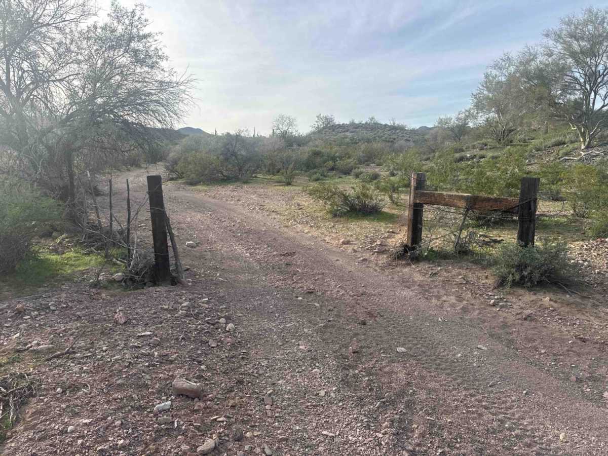 Running Wild | Off-Road Trail Maps, Difficulty, Trail Status | onX Offroad