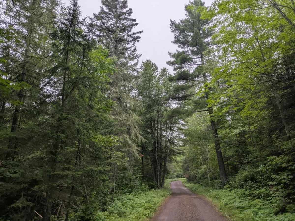 Lake Clara | Off-Road Trail Maps, Difficulty, Trail Status | onX Offroad