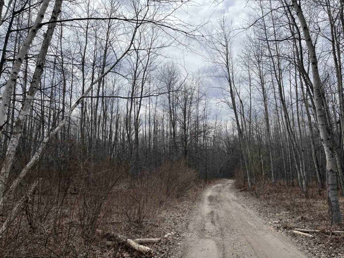 West Isabella Bypass | Off-Road Trail Maps, Difficulty, Trail Status ...