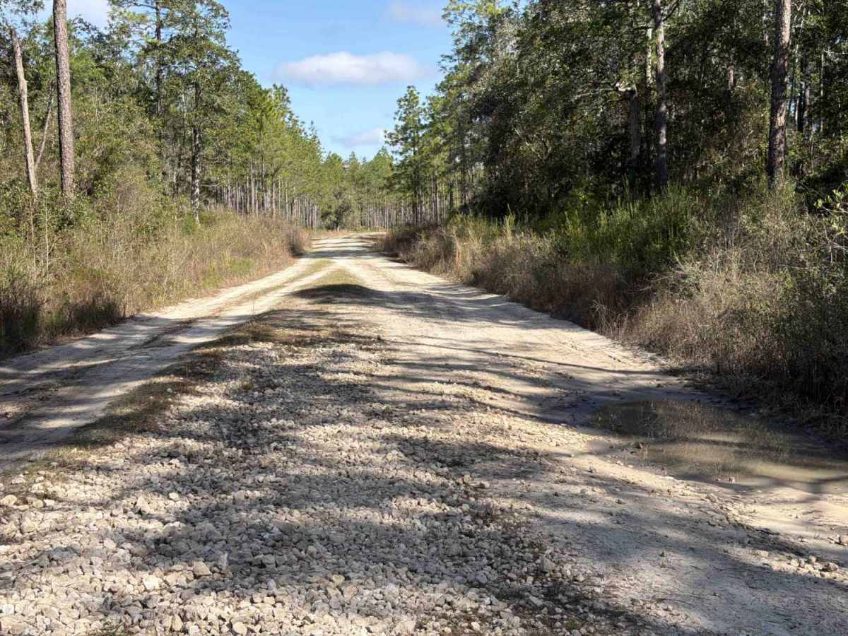 Hutto - FS 376 | Off-Road Trail Maps, Difficulty, Trail Status | onX ...