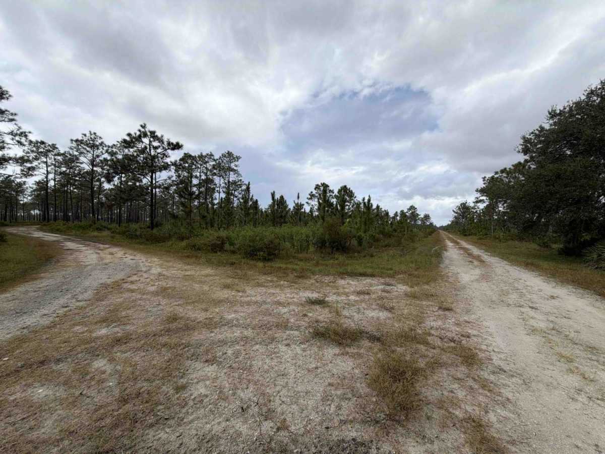 Road 1 - Three Lakes WMA | Off-Road Trail Maps, Difficulty, Trail ...