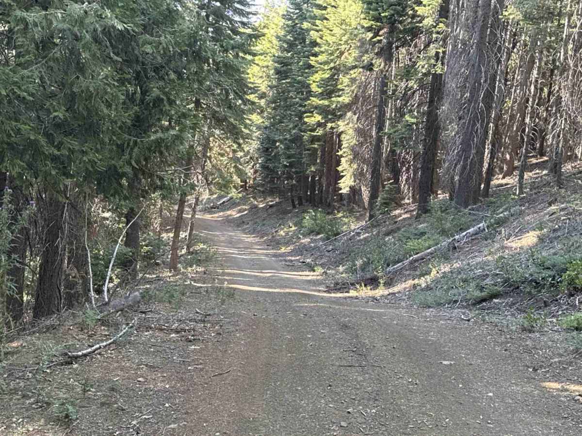 Pine Nut - FS 16-046 | Off-Road Trail Maps, Difficulty, Trail Status ...