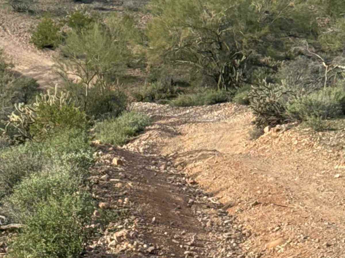 Running Wild | Off-Road Trail Maps, Difficulty, Trail Status | onX Offroad