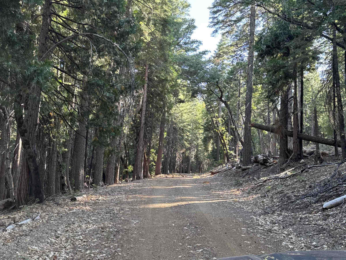 Pine Nut - FS 16-046 | Off-Road Trail Maps, Difficulty, Trail Status ...