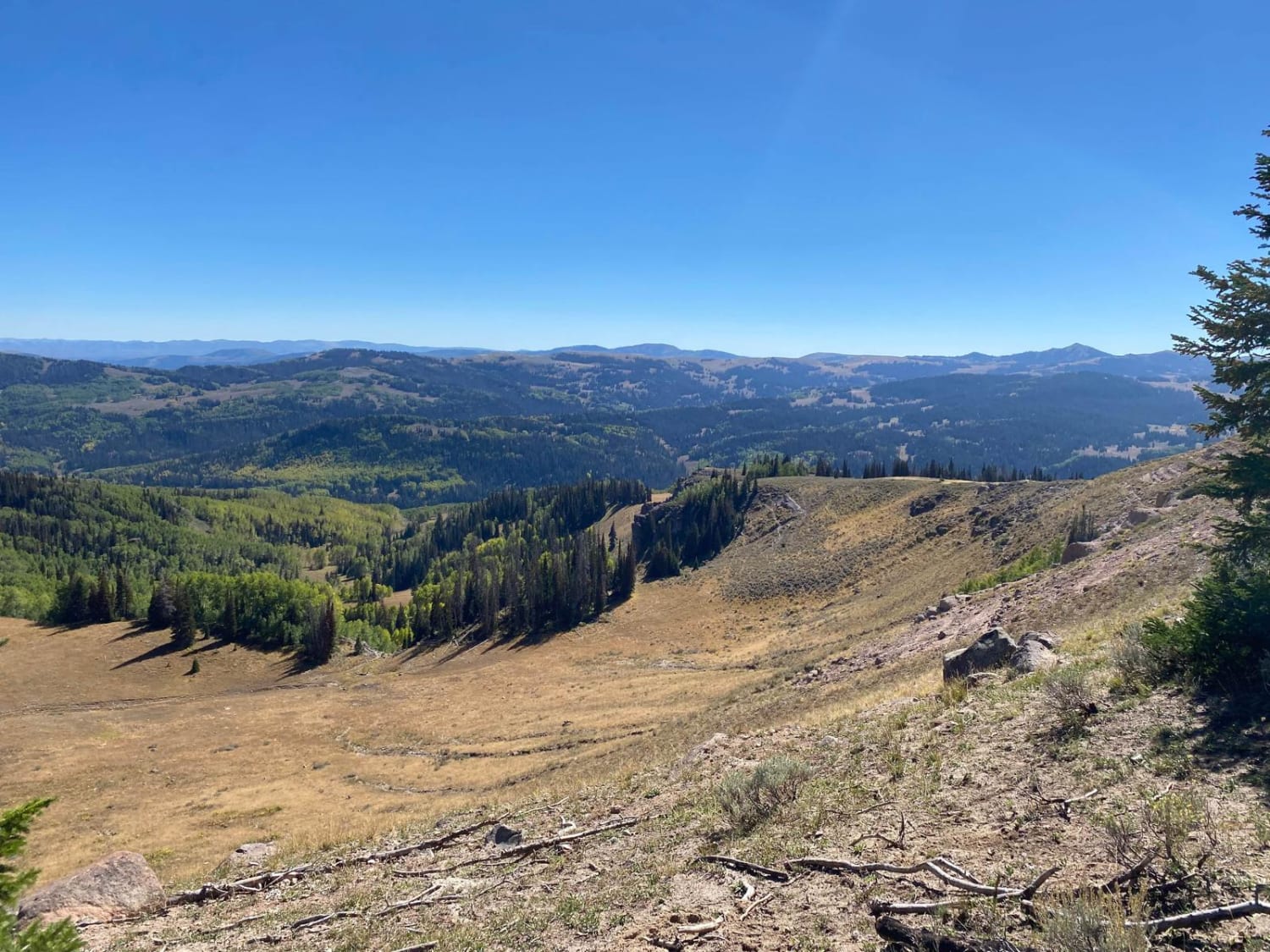 Duchesne Ridge , Utah : Off-Road Trail Map & Photos | onX Offroad