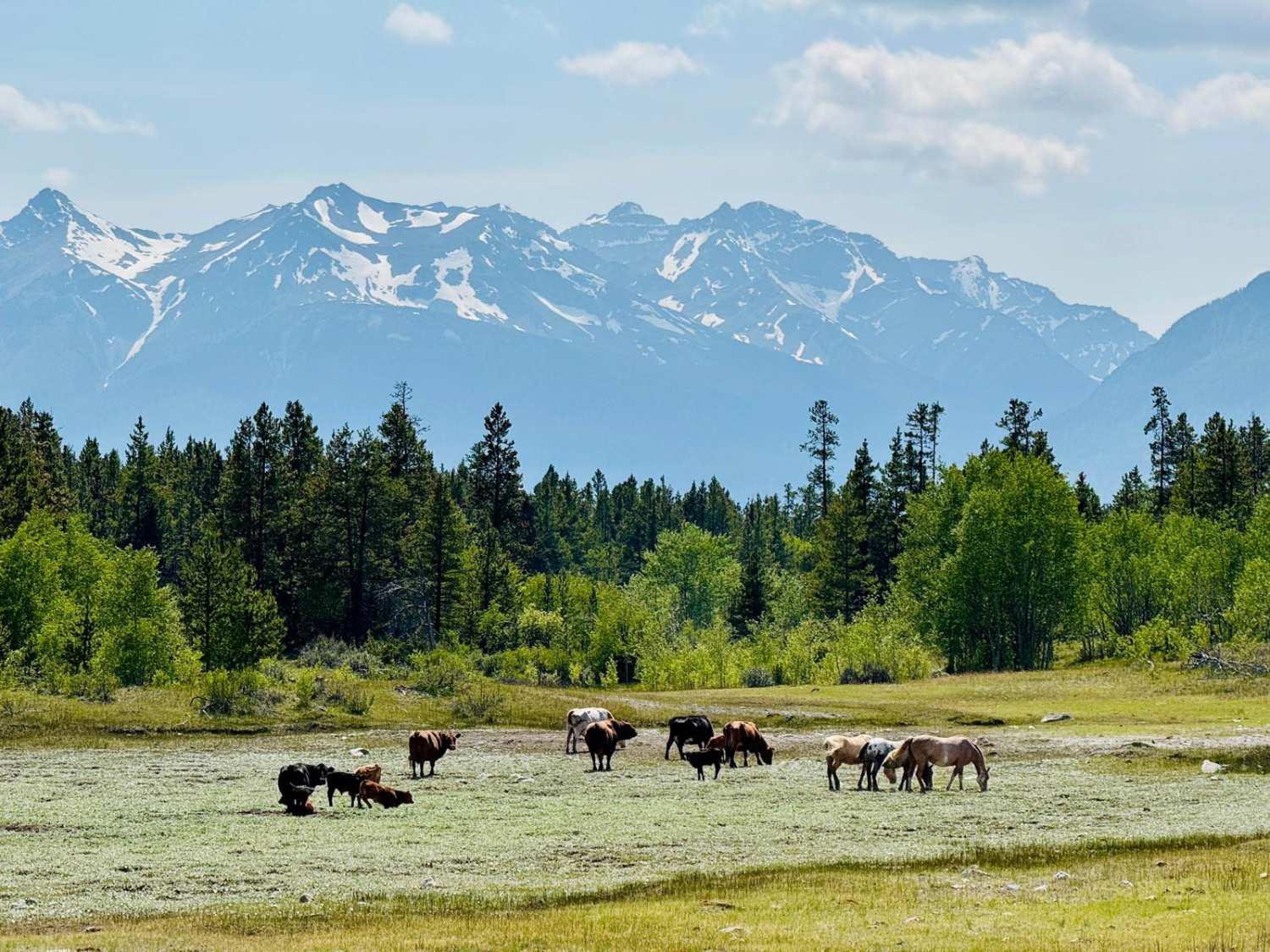 Nemiah Valley Road, British Columbia - GPS Trail Map, Conditions ...