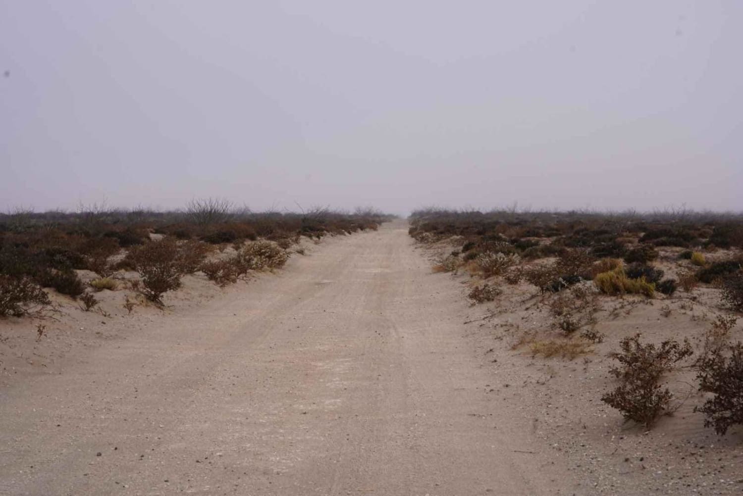 San Juanico to San Ignacio via the Coast. , Baja California Sur : Off ...