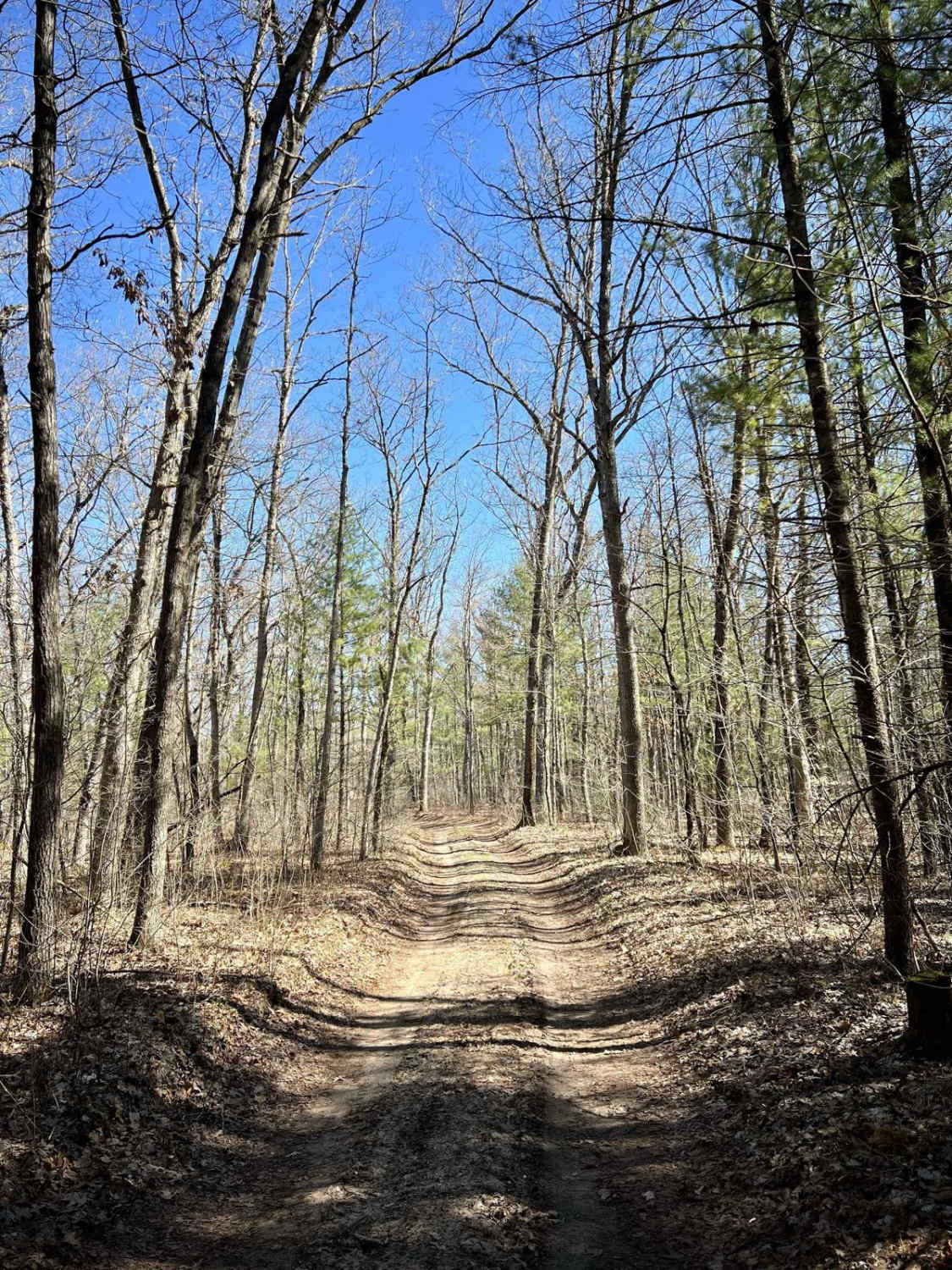 MSG Trail, Michigan : Off-Road Trail Map & Photos | onX Offroad