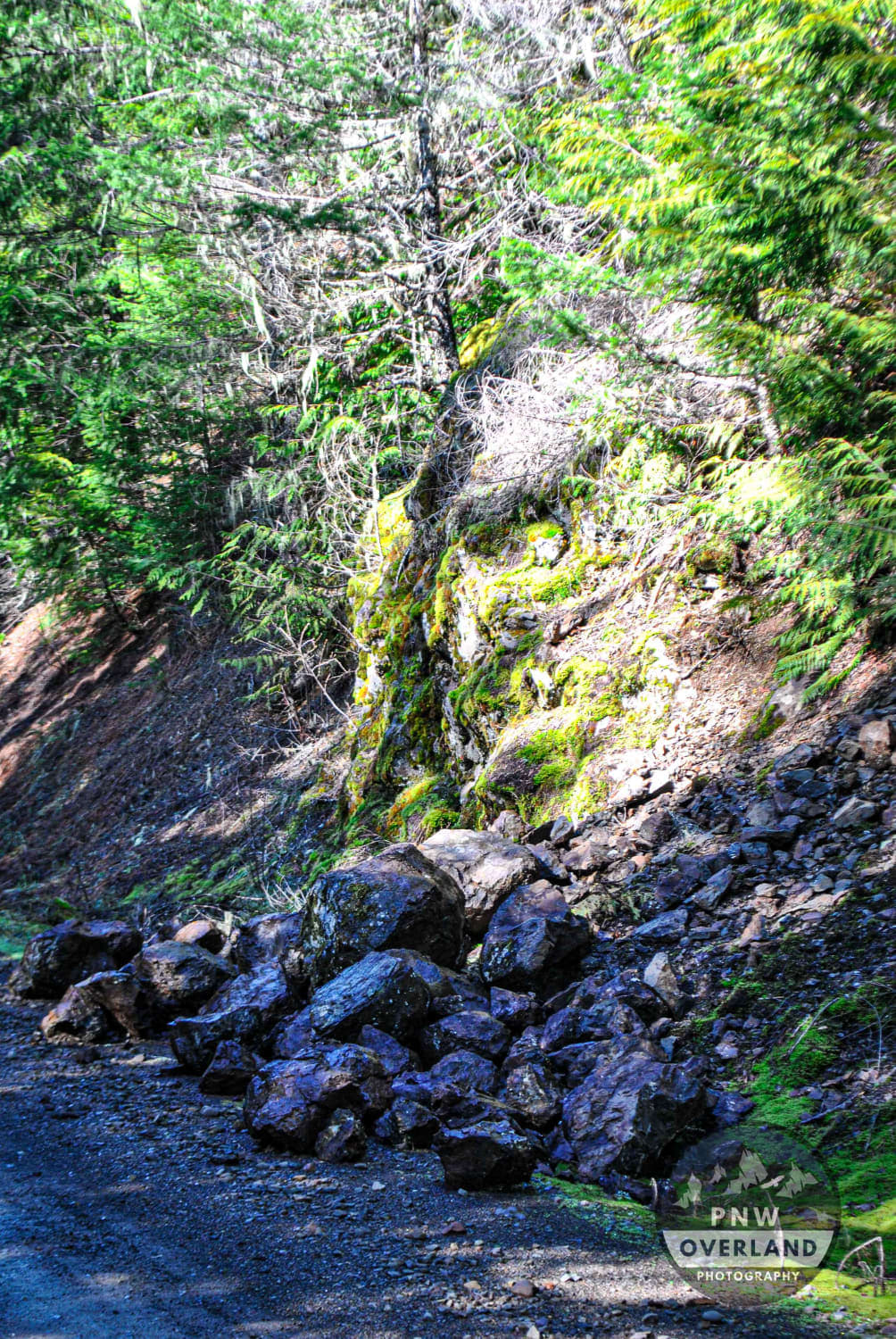 Upper Big Quilcene Trail, Washington : Off-Road Trail Map & Photos ...