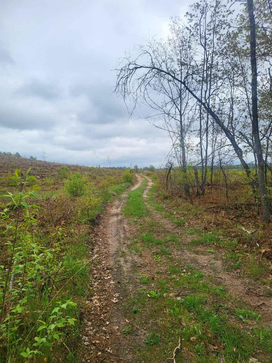 Mio ORV Route - East, Michigan : Off-Road Trail Map & Photos | onX Offroad