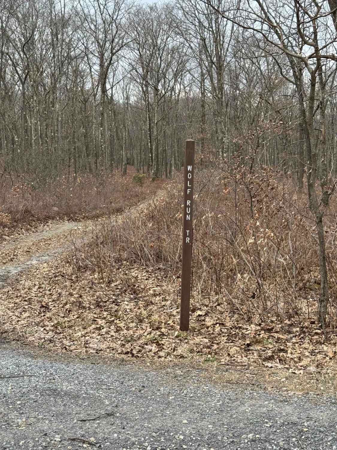 Wolf Run Trail, Pennsylvania - GPS Trail Map, Conditions & Difficulty ...