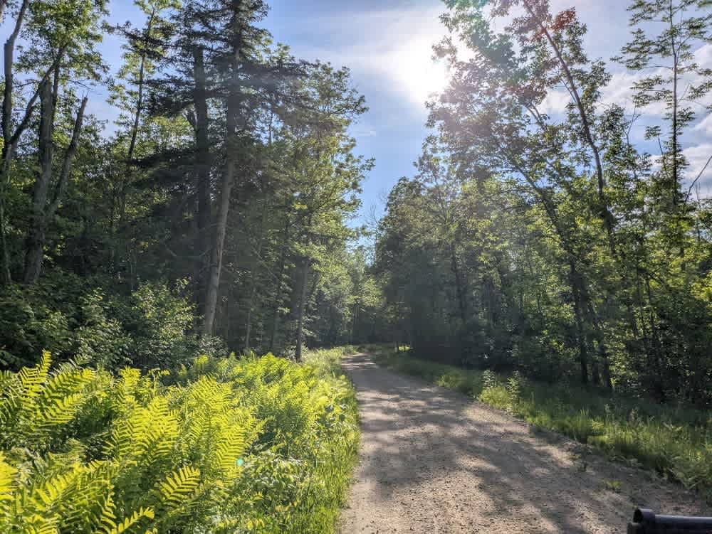 2199, Minnesota - GPS Trail Map, Conditions & Difficulty | onX Offroad