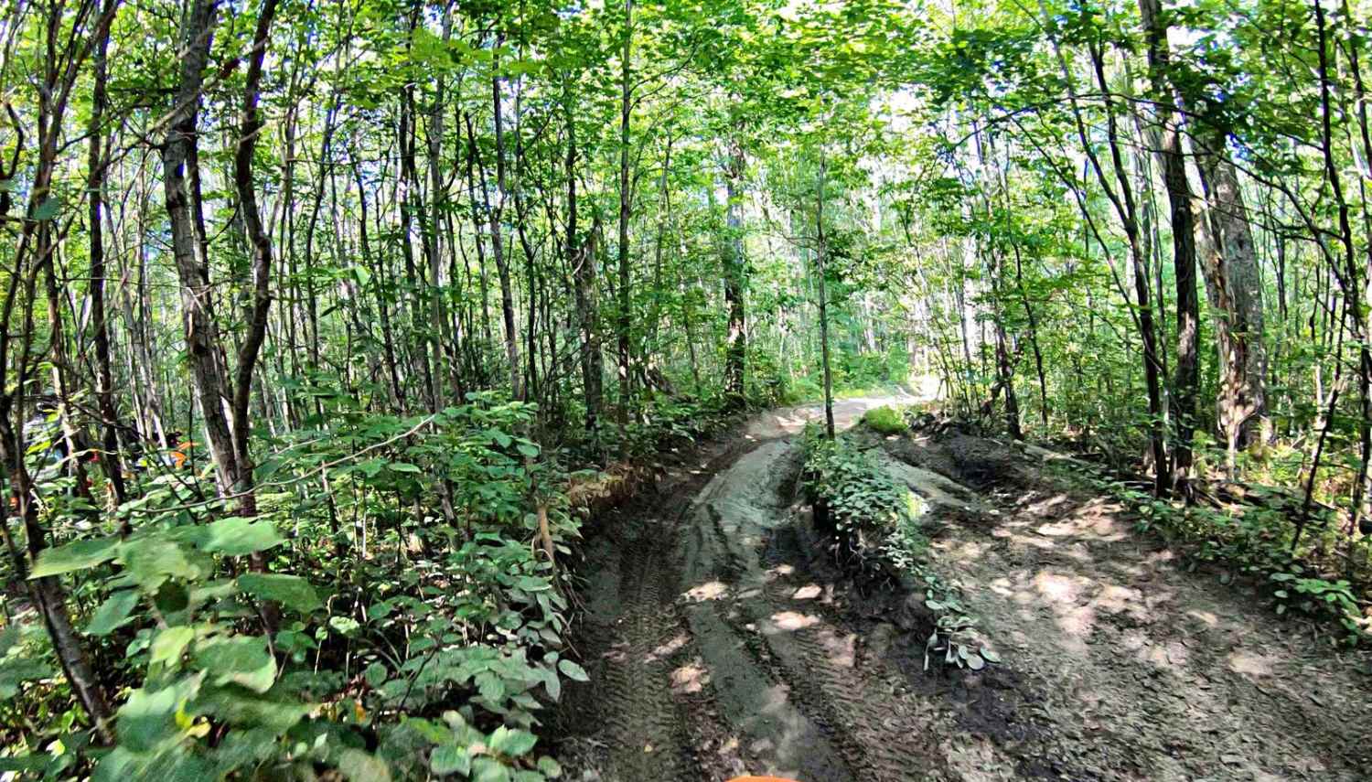 Little Leota Trail , Michigan : Off-Road Trail Map & Photos | onX Offroad