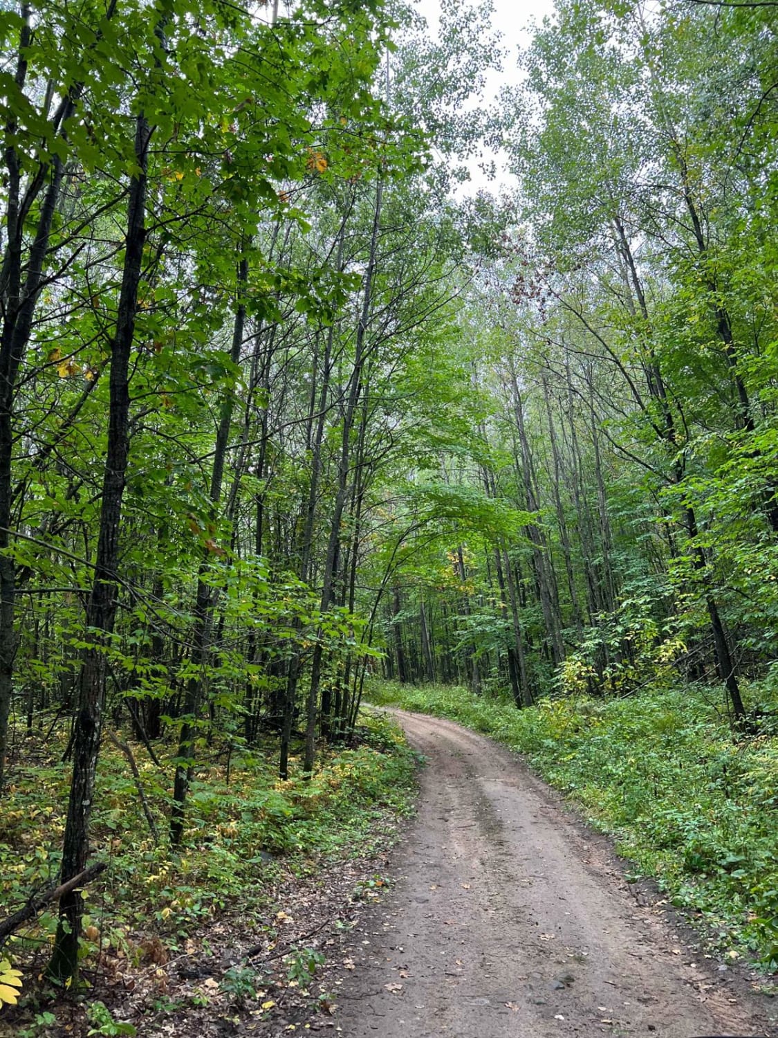 Bull Moose Trail, Minnesota : Off-Road Trail Map & Photos | onX Offroad