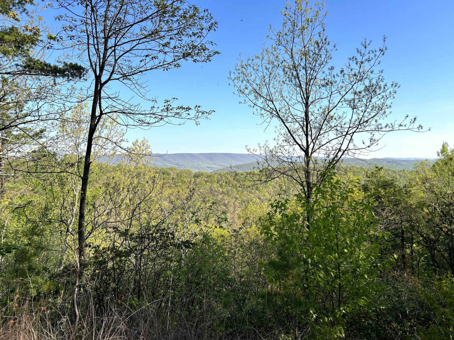 Squirrel Gap Road, West Virginia : Off-Road Trail Map & Photos | onX Offroad