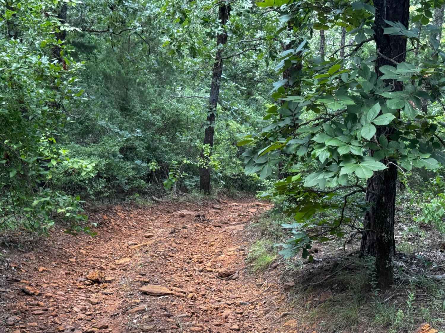 Fun Country, Texas - GPS Trail Map, Conditions & Difficulty | onX Offroad