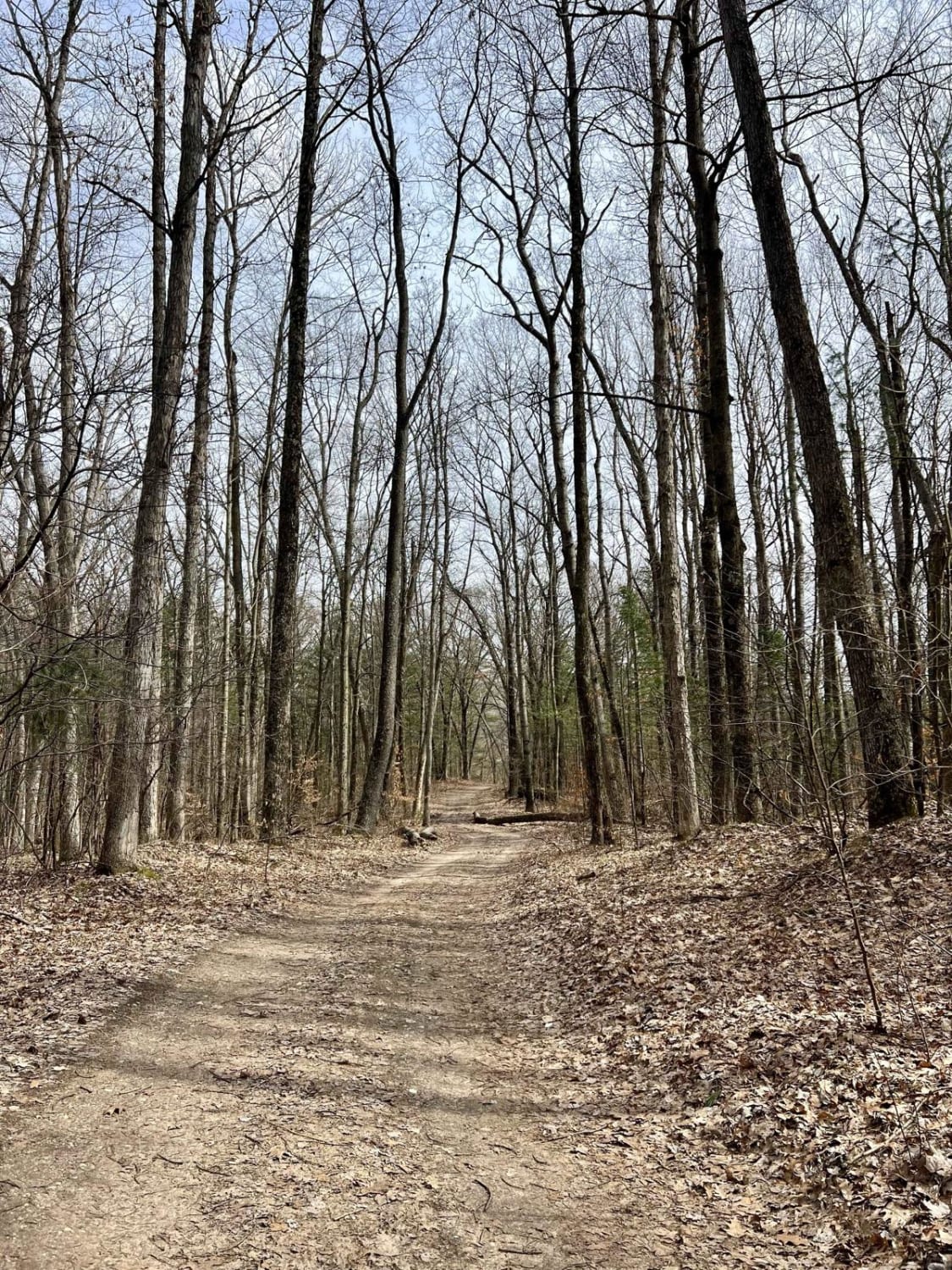 Rogue River Game Trail #1, Michigan : Off-Road Trail Map & Photos | onX ...