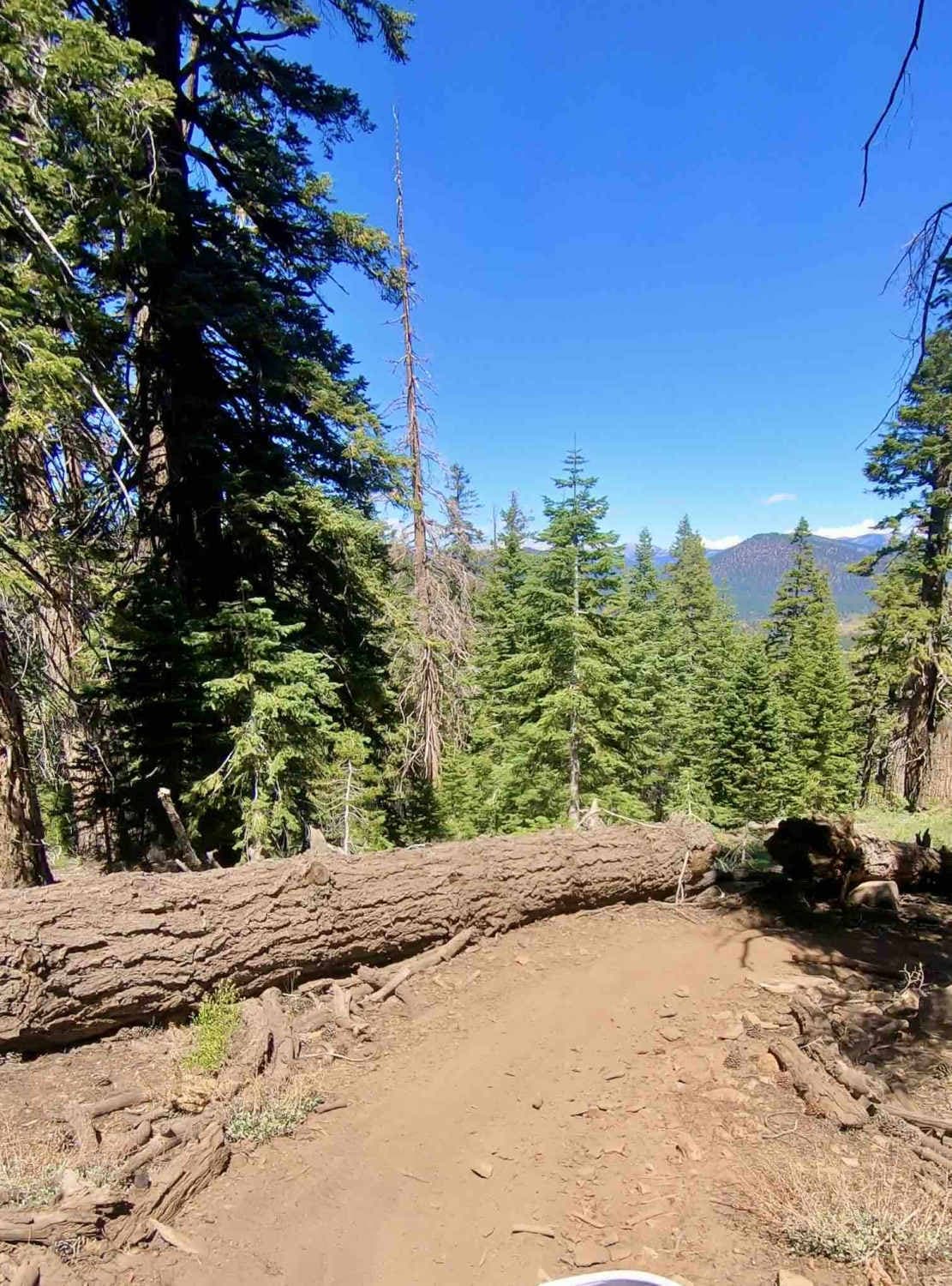 Jackass Peak, California : Off-Road Trail Map & Photos | onX Offroad