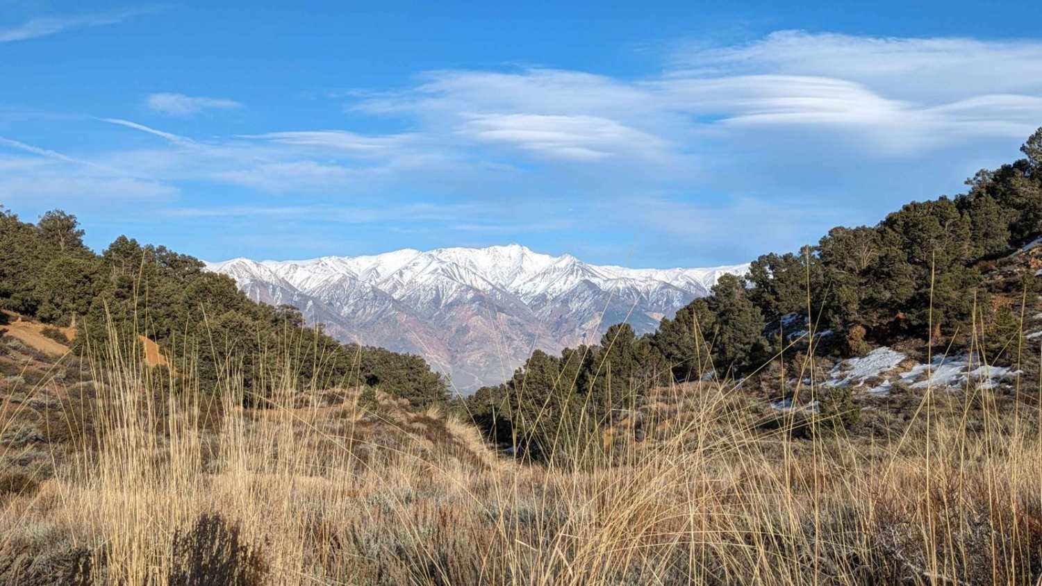 Inyo National FS3S15, California : Off-Road Trail Map & Photos | onX ...