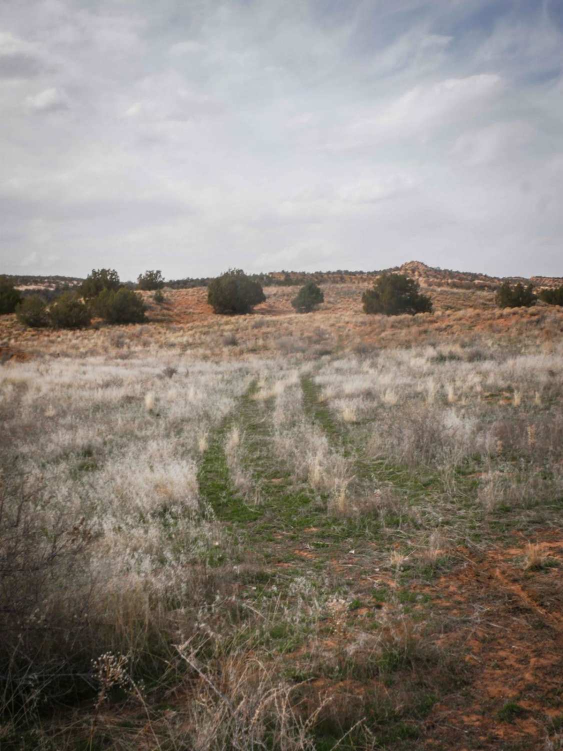 Butler Wash, Utah : Off-Road Trail Map & Photos | onX Offroad