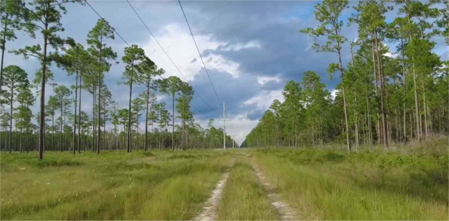 Cary State Forest - Thomas Creek Tract, Florida : Off-Road Trail Map ...