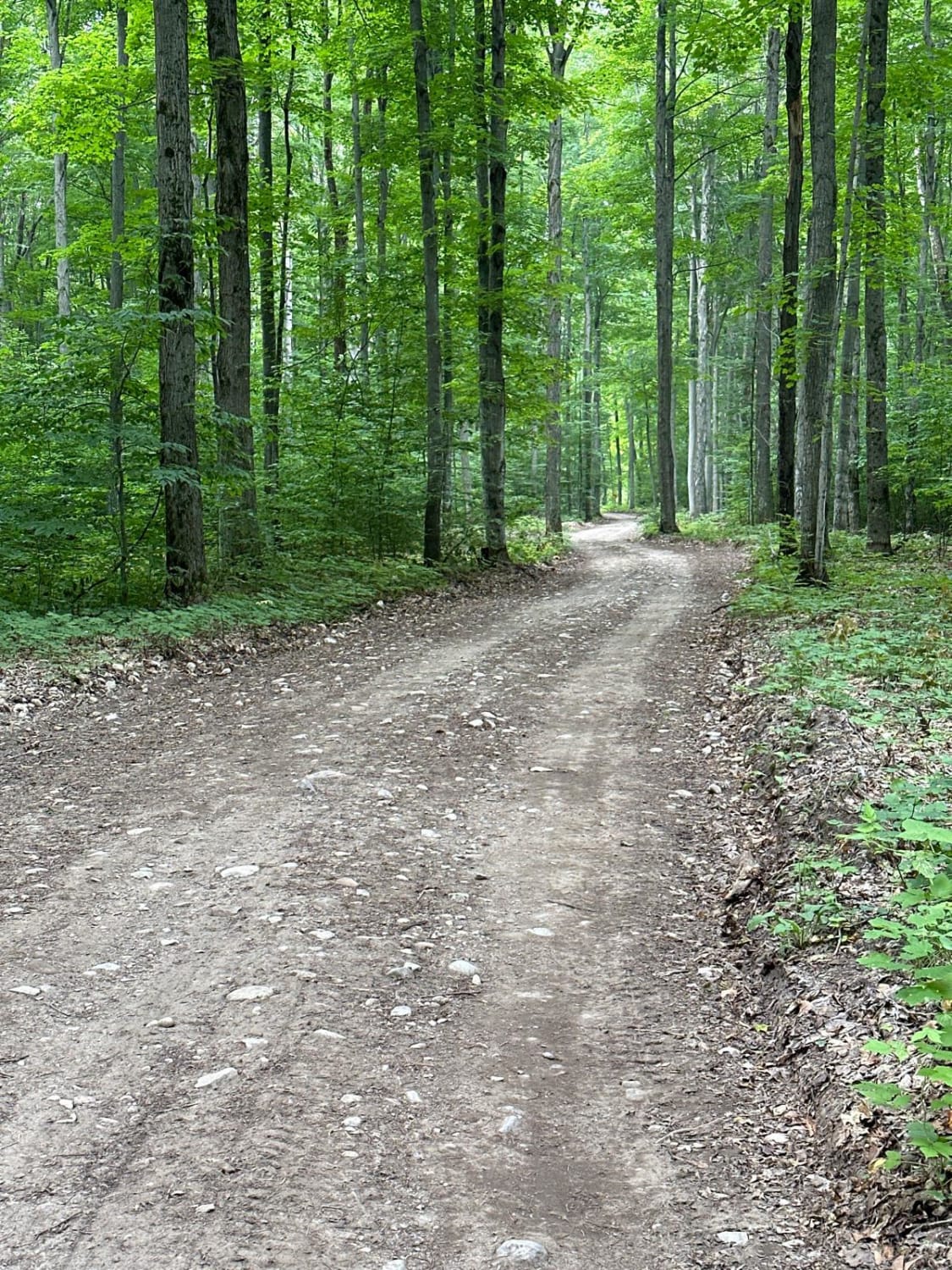 North Haze Road Part 4/48461, Michigan : Off-Road Trail Map & Photos ...