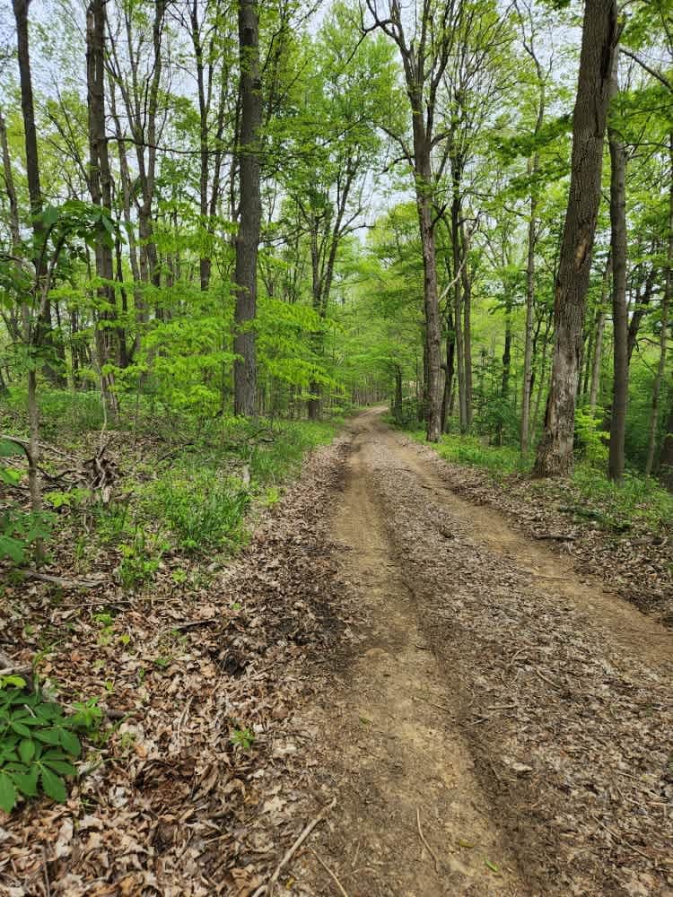 Mouth Hollow Road, Ohio : Off-Road Trail Map & Photos | onX Offroad