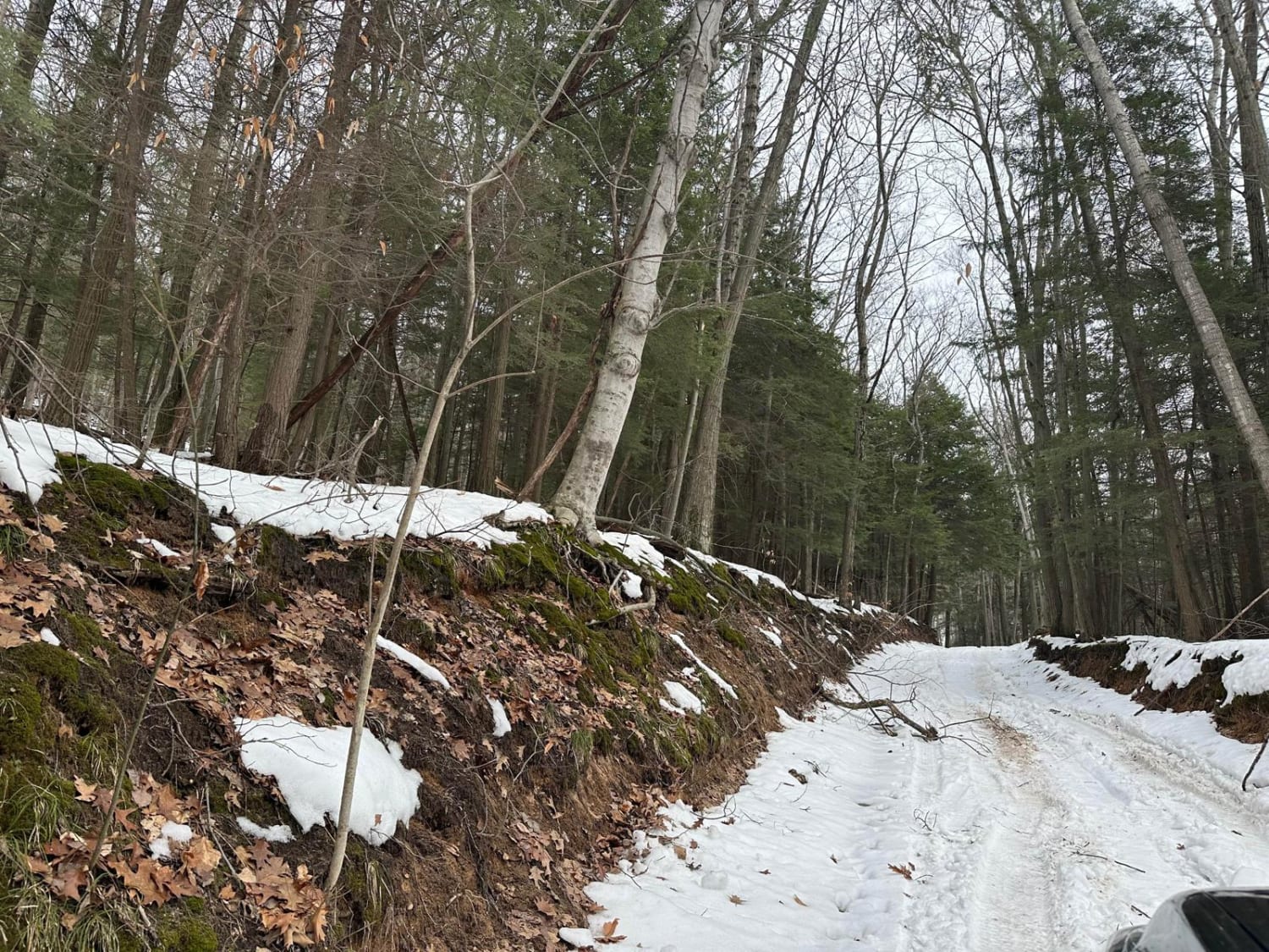 Shauger Hill Road , Michigan : Off-Road Trail Map & Photos | onX Offroad