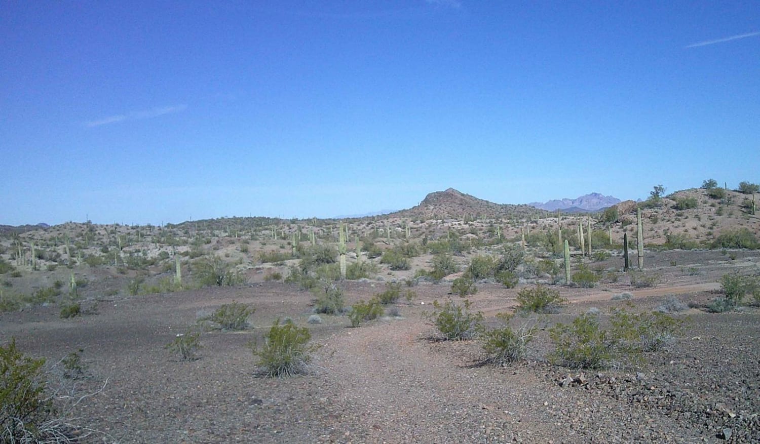 Cactus Road, Arizona : Off-Road Trail Map & Photos | onX Offroad