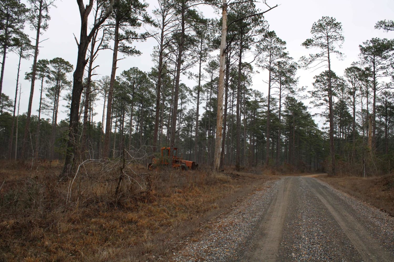 Gum Springs Campground, Louisiana : Off-Road Trail Map & Photos | onX ...