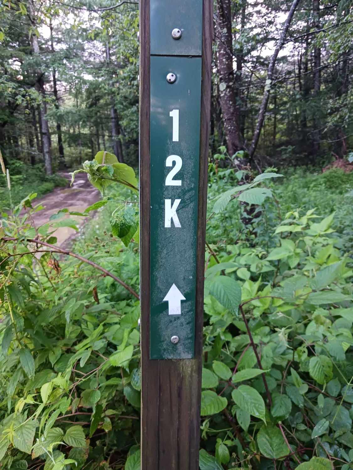 Trail 12K - Rock Run Recreation Area, Pennsylvania - GPS Trail Map, Conditions & Difficulty ...