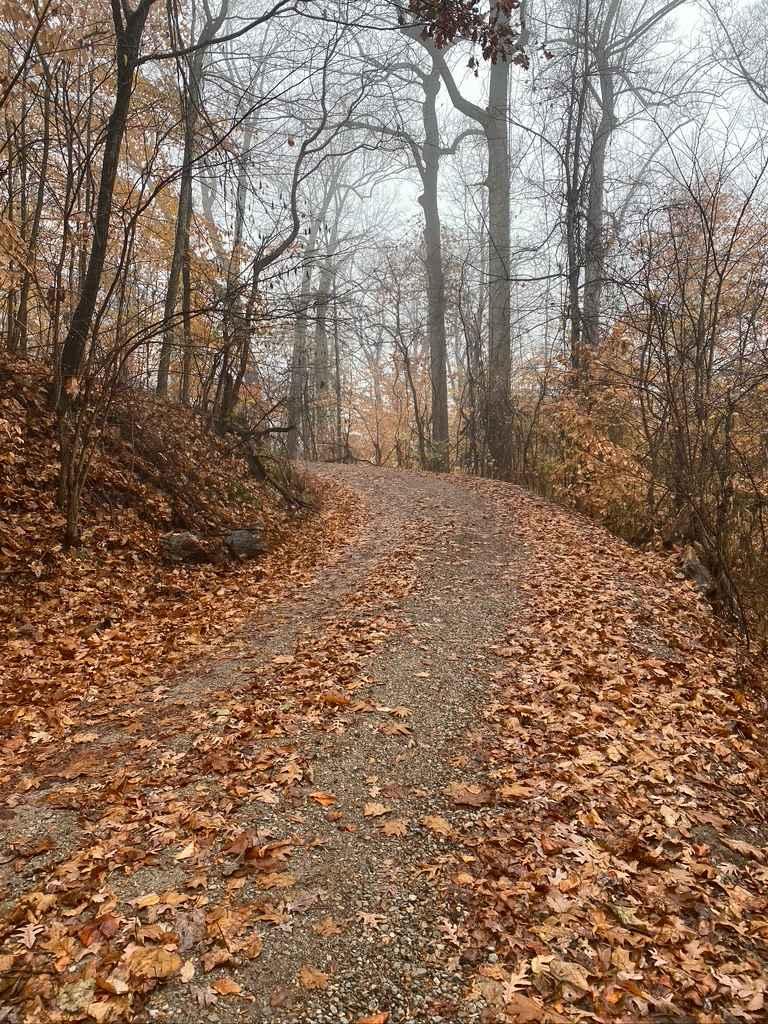 Atwood Road SFR 266, Illinois : Off-Road Trail Map & Photos | onX Offroad