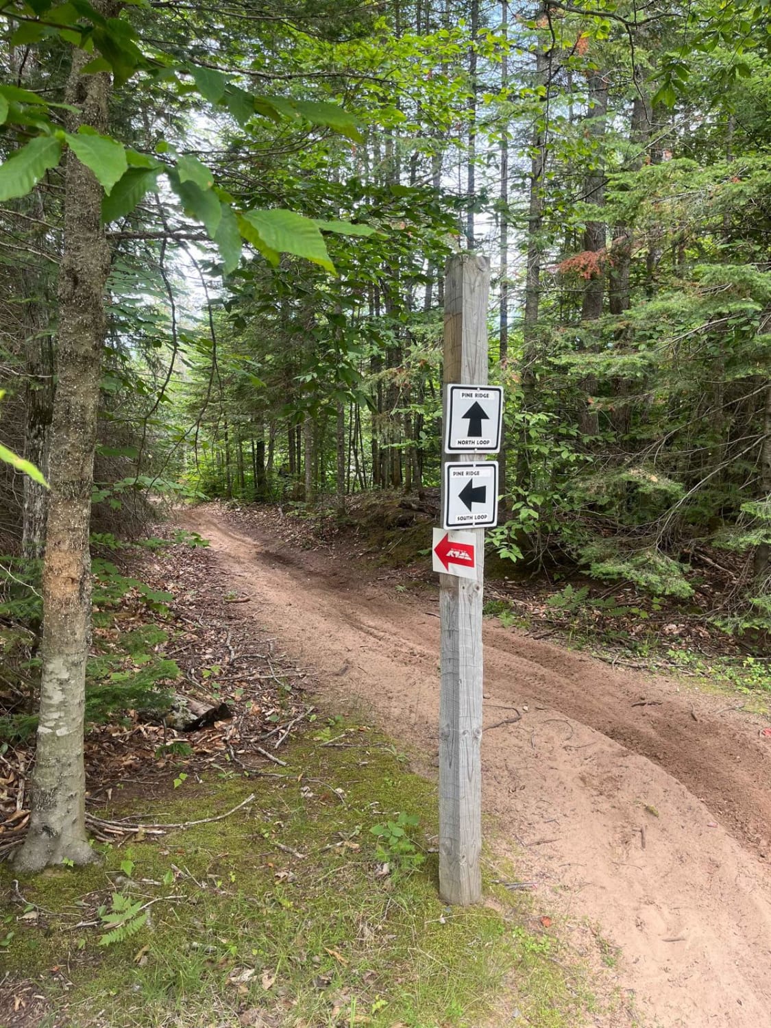 Pine Ridge Trail, Michigan : Off-Road Trail Map & Photos | onX Offroad