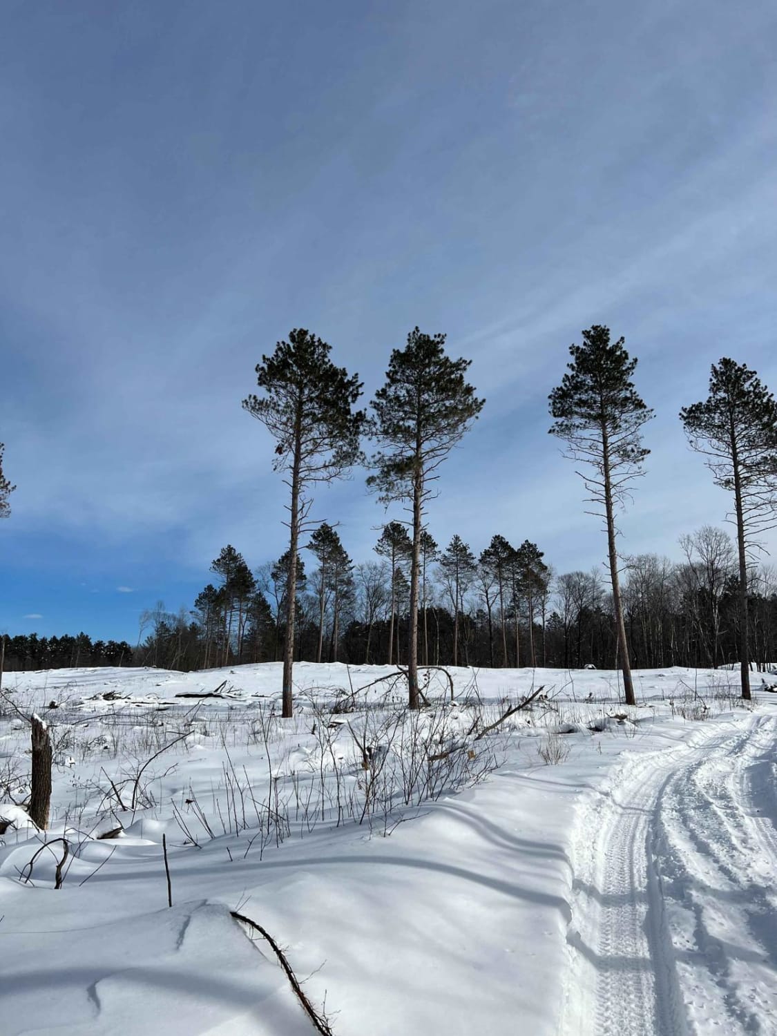 Spider Lake , Minnesota : Off-Road Trail Map & Photos | onX Offroad