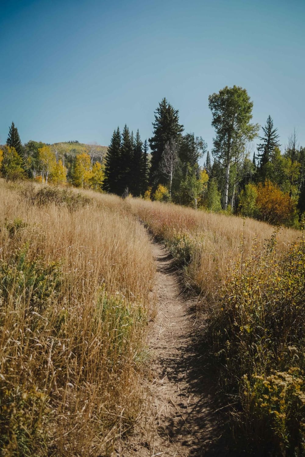 Milepost One Trail, Colorado : Off-Road Trail Map & Photos | onX Offroad