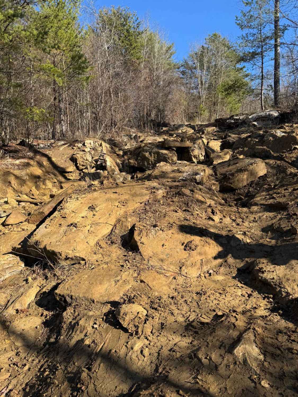 Candy Land, Alabama - GPS Trail Map, Conditions & Difficulty | onX Offroad