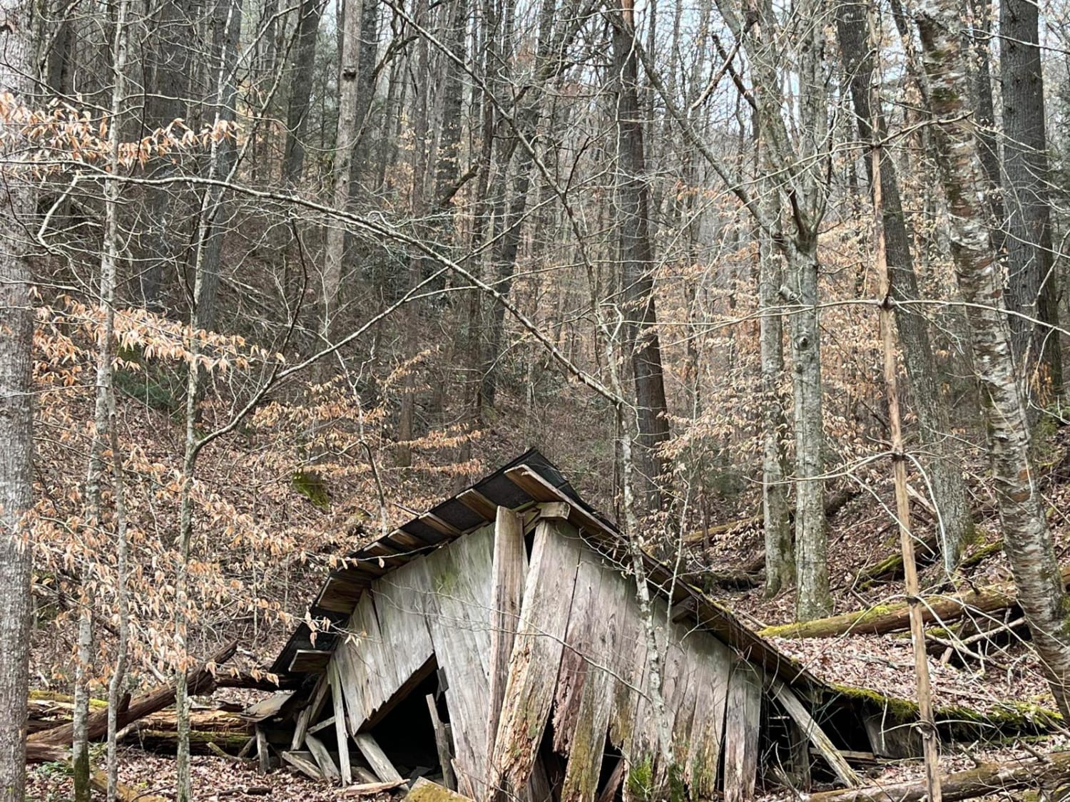 Kimsey MTN (Old 68 HWY), Tennessee : Off-Road Trail Map & Photos | onX Offroad