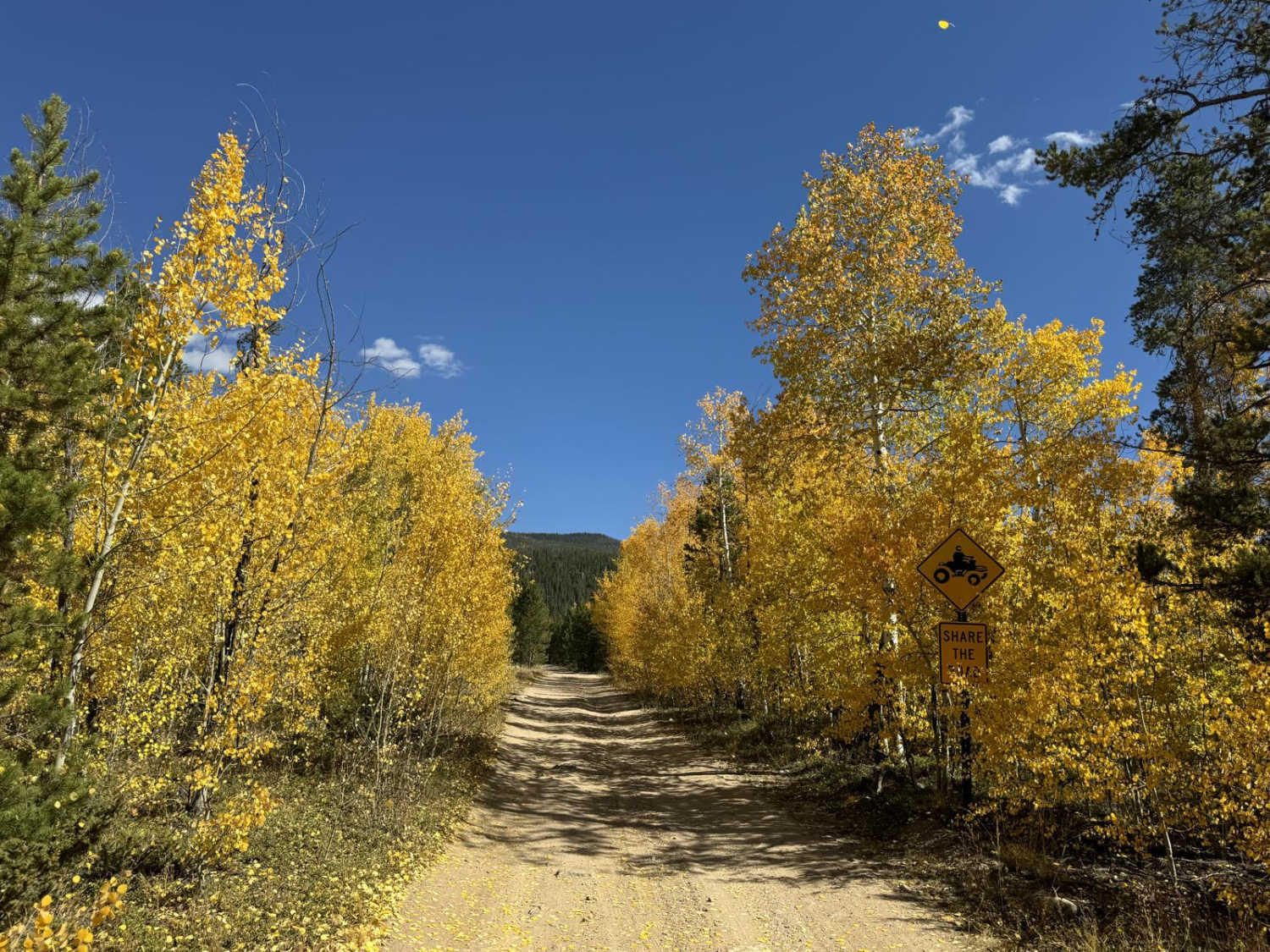 Frey Gulch Road, Colorado : Off-Road Trail Map & Photos | onX Offroad